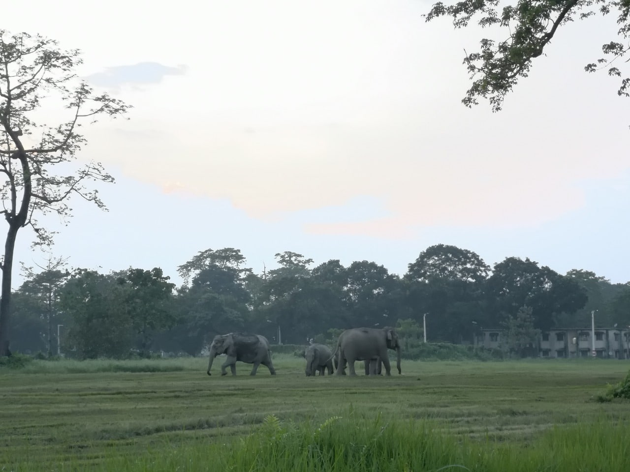 Save Forest Save Wildlife – Sun-Sea-Soil-Sky